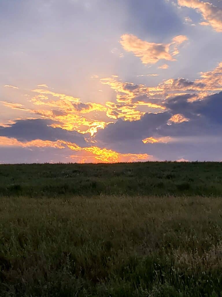 Golden Hour Photography • 2026