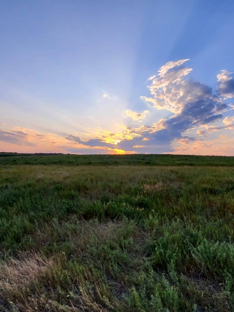 Golden Hour Photography • 2026