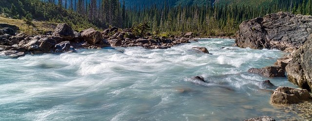 River Fishing: Techniques For Conquering Moving Water • 2026