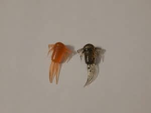Top 25 Ice Fishing Baits And Lures: A Detailed Guide • 2026