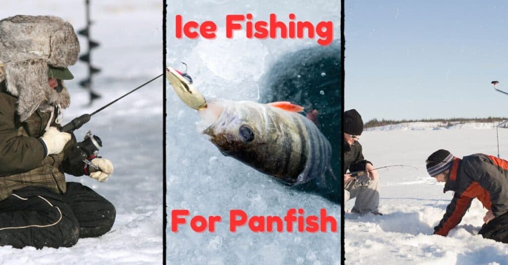 Ice Fishing For Trout: Expert Tips • 2026